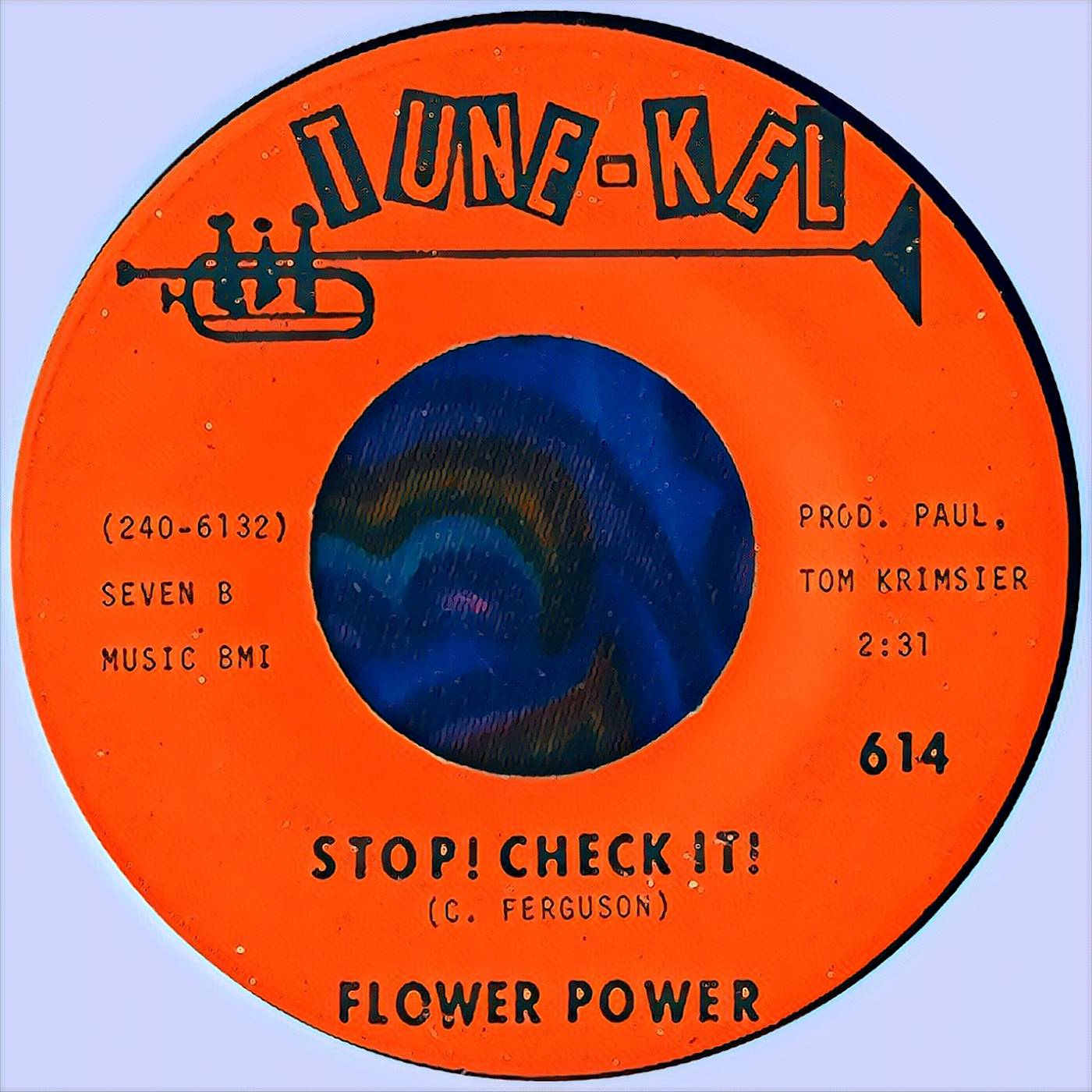 The Flower Power: Mississippi 60s Psychedelic Band